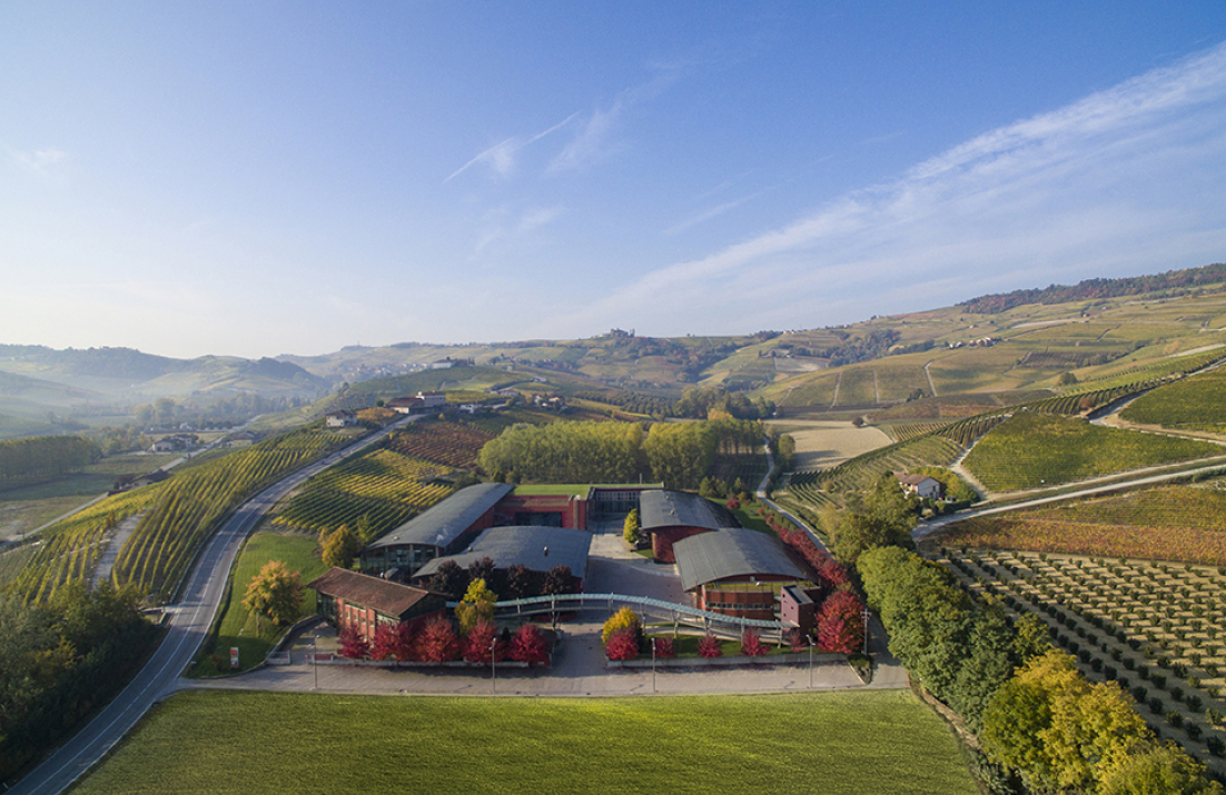 Vite Colte | Ellis Wines