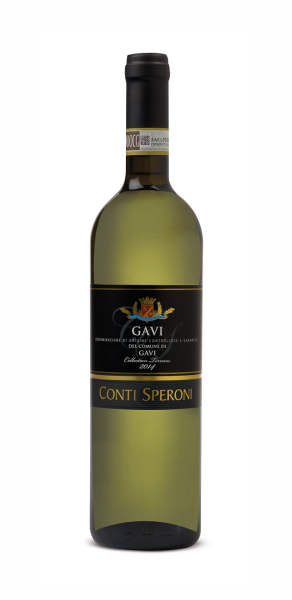 Gavi di Gavi Conti Speroni 2024 | Ellis Wines